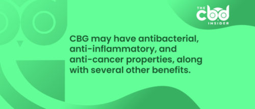 CBG Benefits: 10 Benefits from the 'Mother of All Cannabinoids' | The ...