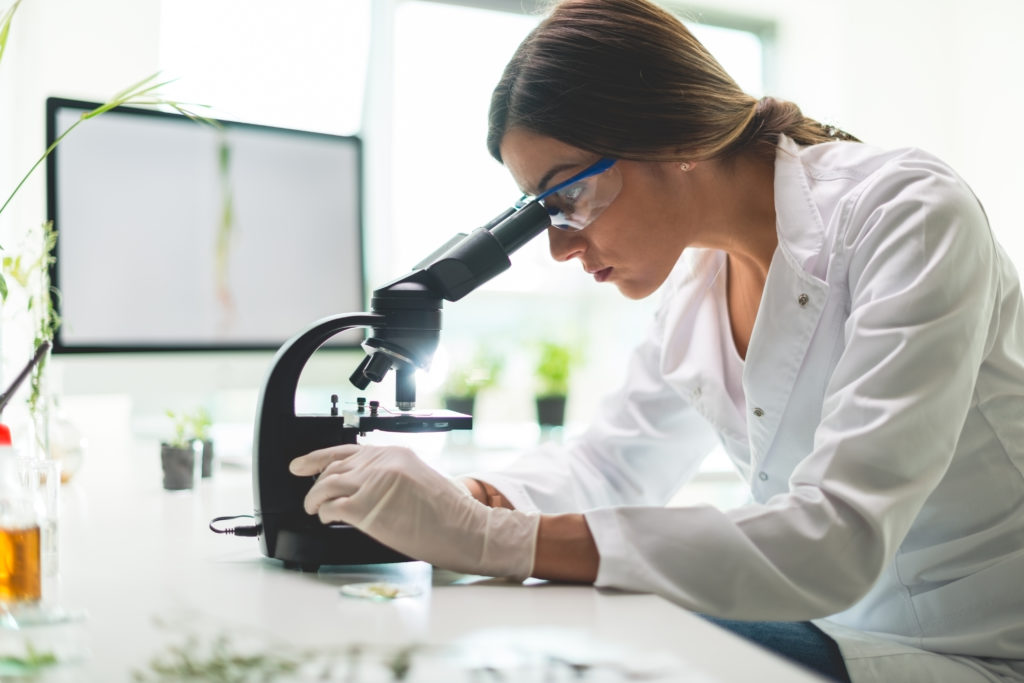 CBD Research: A Look into Current CBD Studies | The CBD Insider