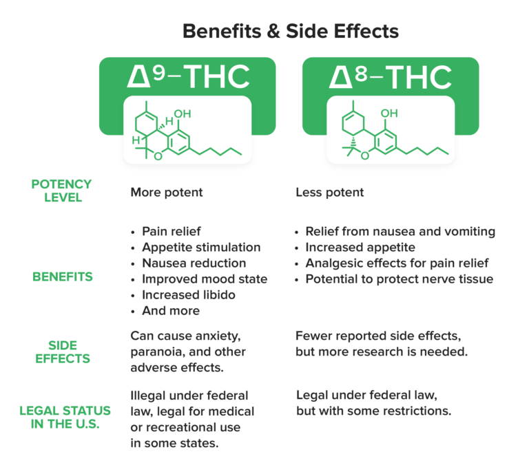 Delta-9 vs Delta-8 THC: What's the Difference? | The CBD Insider